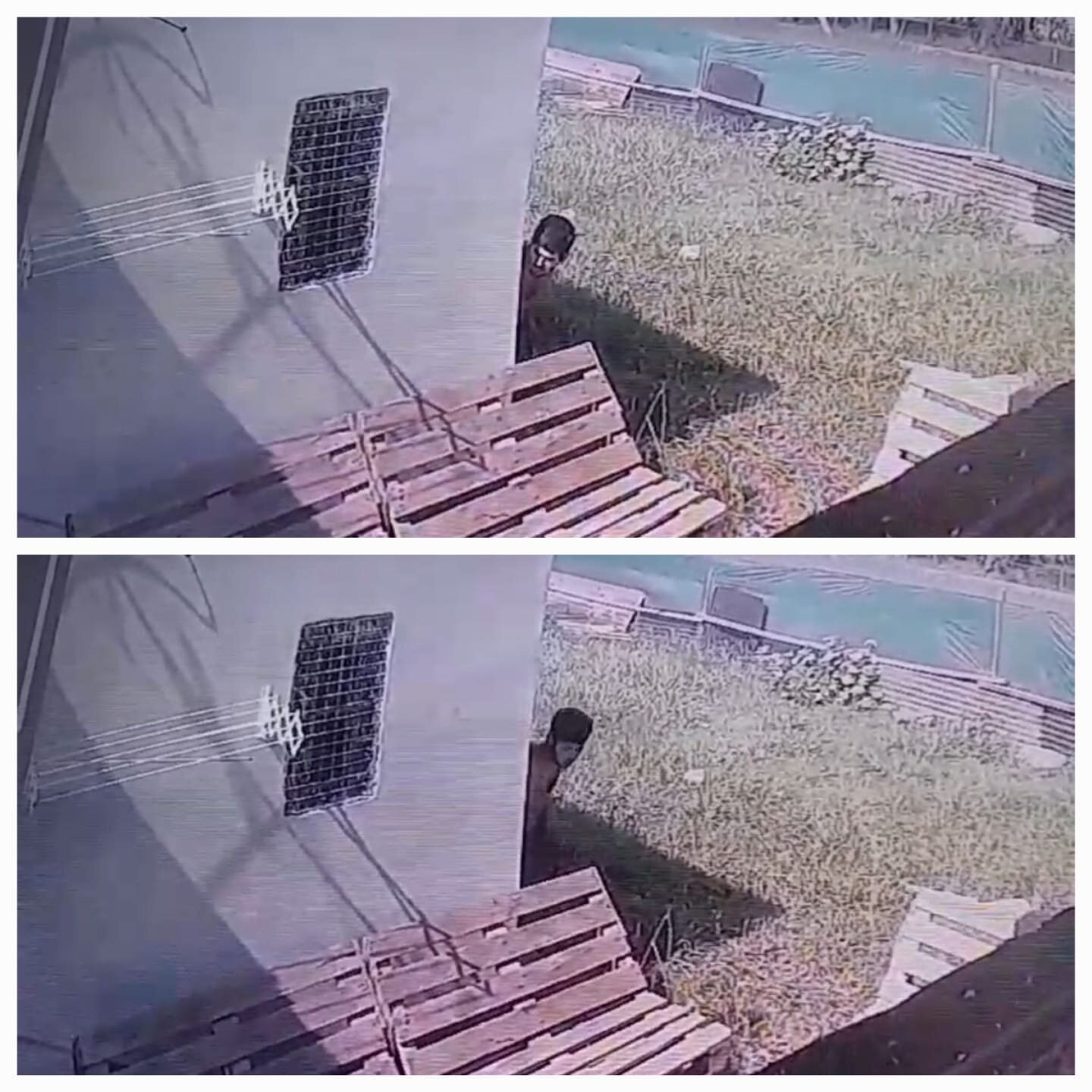 Delincuente fue aprehendido tras quedar grabado en cámara de seguridad ...